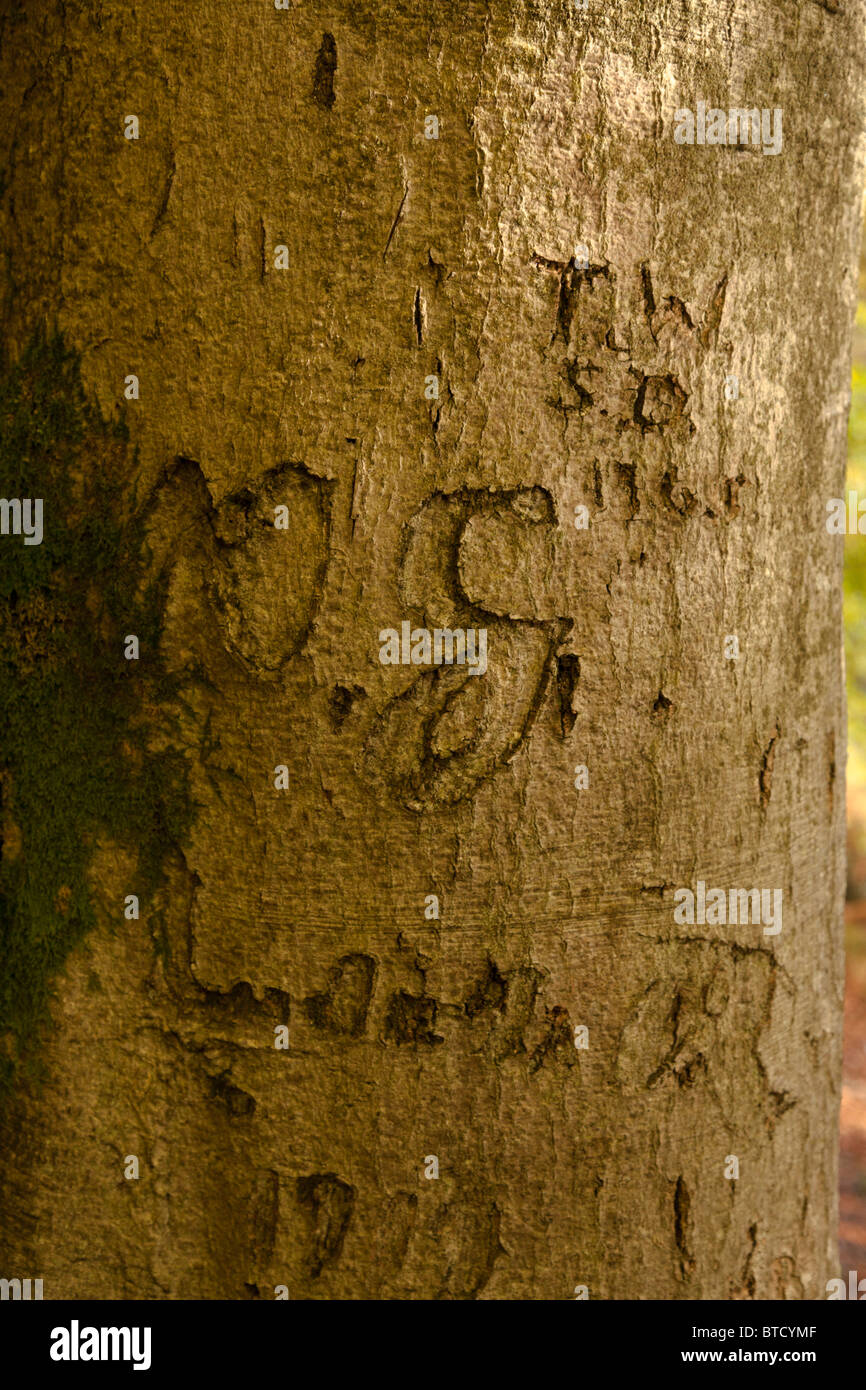 Tree trunk with carved names hi-res stock photography and images - Alamy