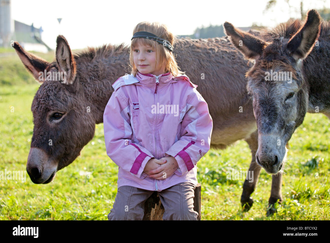 portrait of a young girl with two donkeys Stock Photo - Alamy