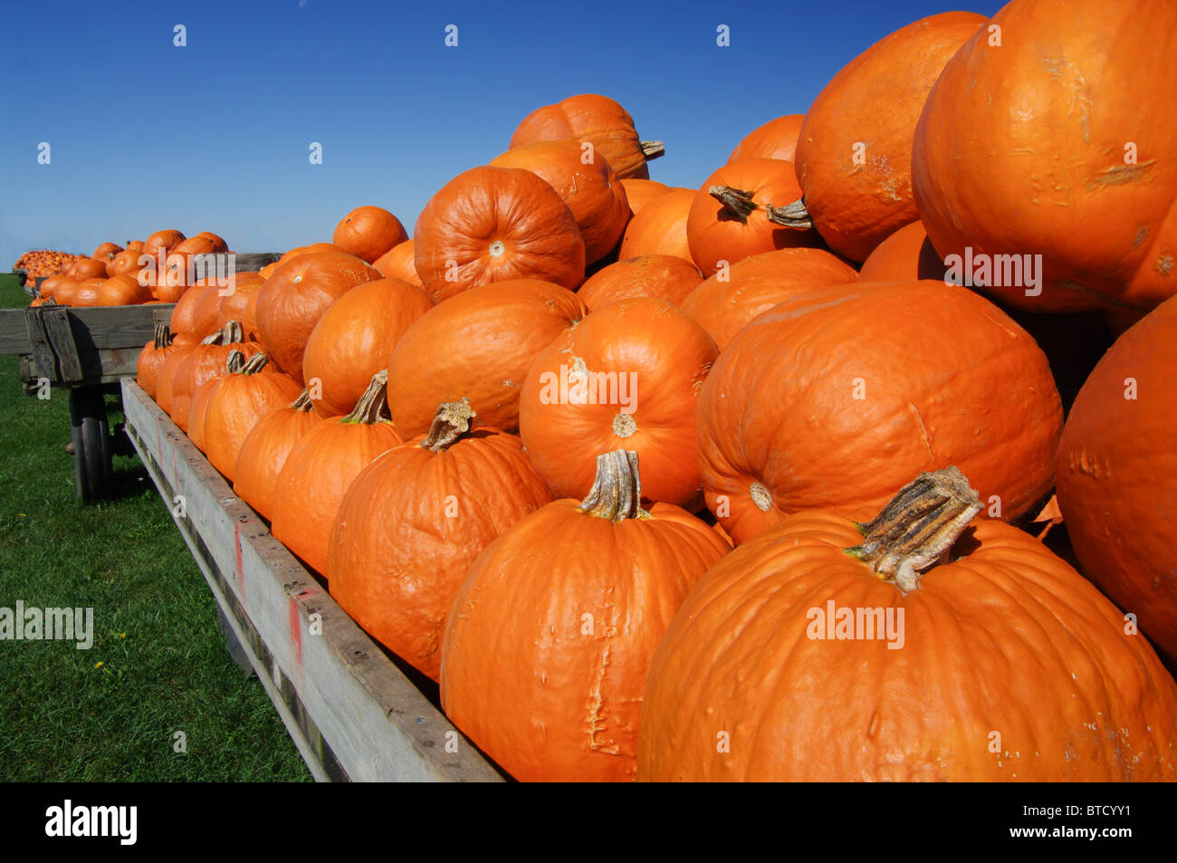 Old fashioned market cart vegetables hi-res stock photography and ...