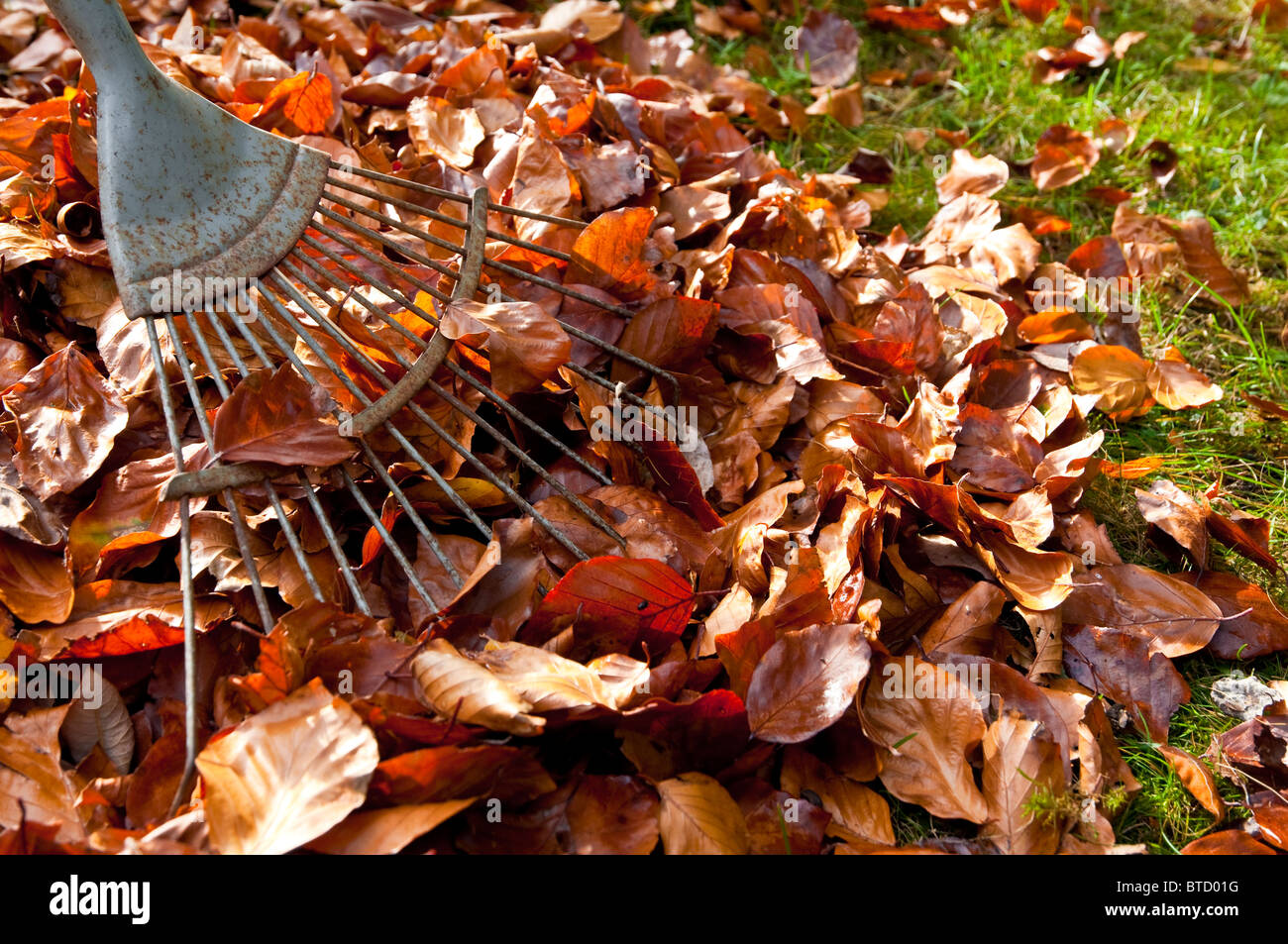 Scarifier hi-res stock photography and images - Alamy