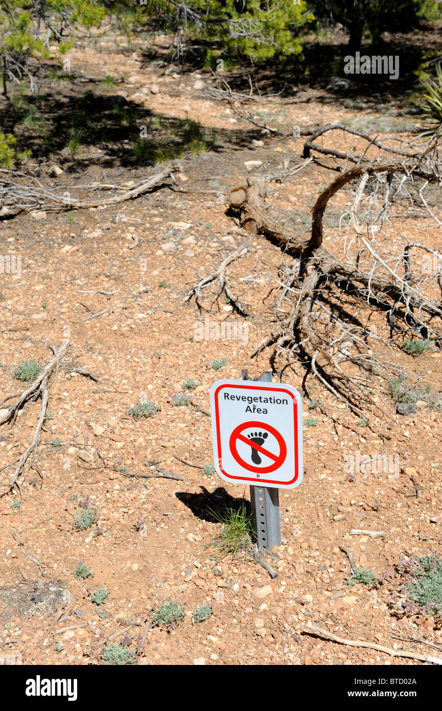 Revegetation Area Tusayan Museum and Ruin Grand Canyon National Park ...