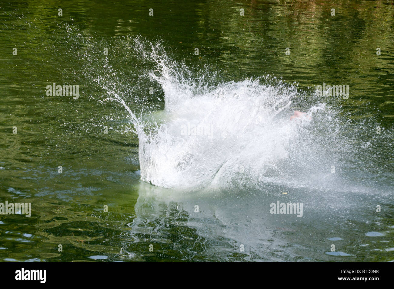 Splash of the water from the jumper Stock Photo - Alamy