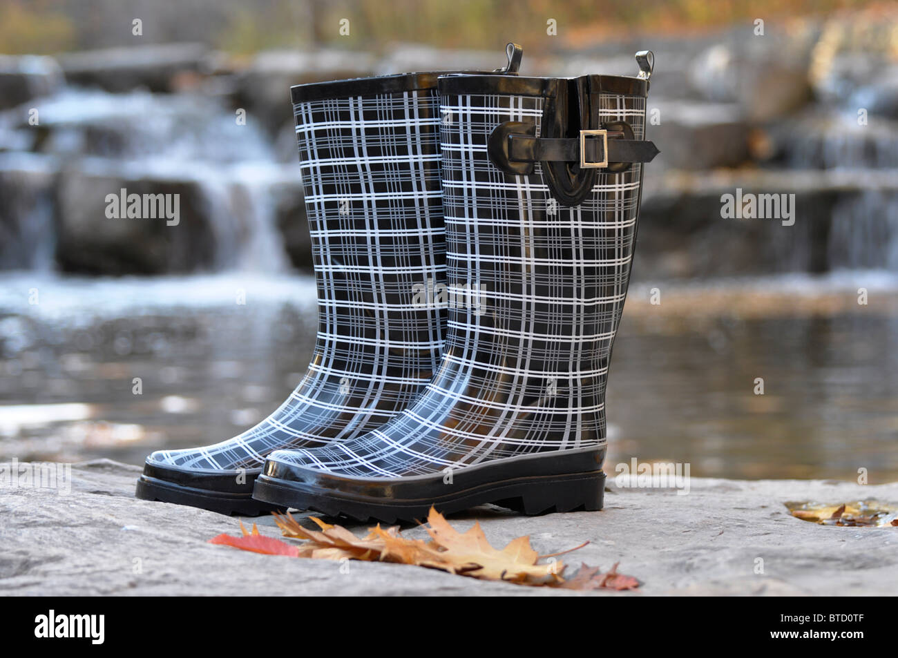 Wellilngtons hi-res stock photography and images - Alamy
