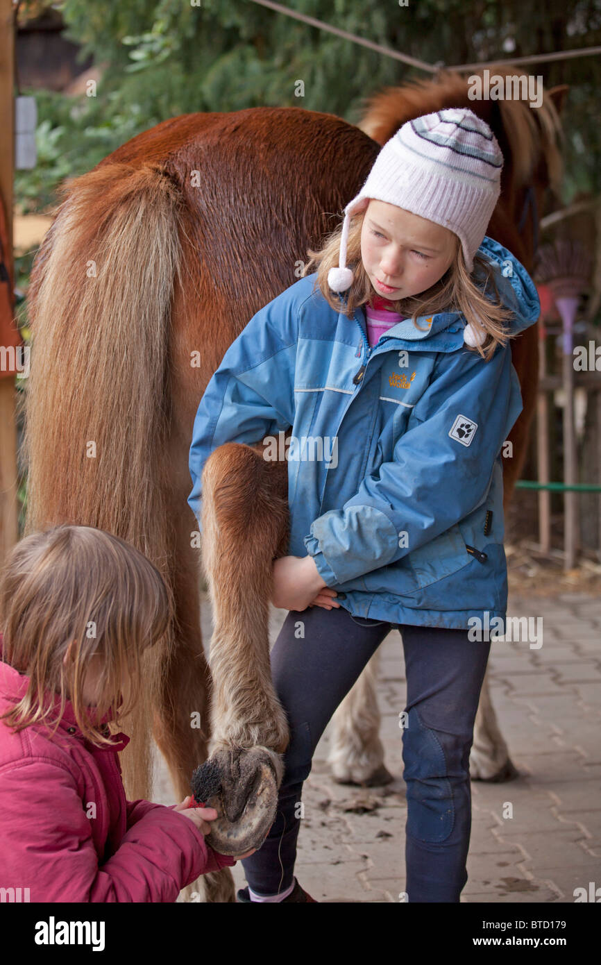 two small girls cleaning the hooves of a pony Stock Photo - Alamy