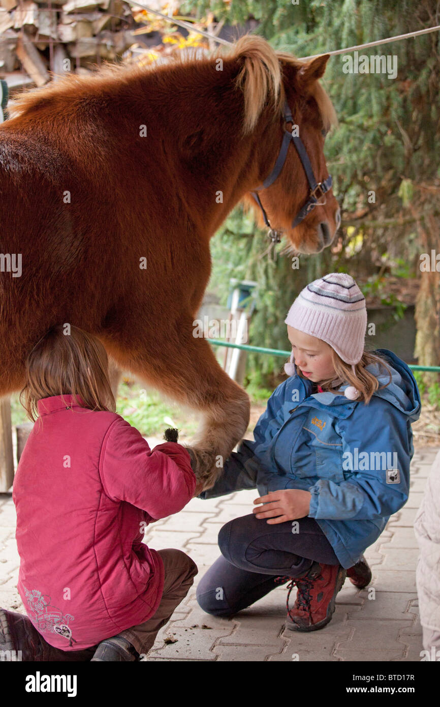 two small girls cleaning the hooves of a pony Stock Photo - Alamy