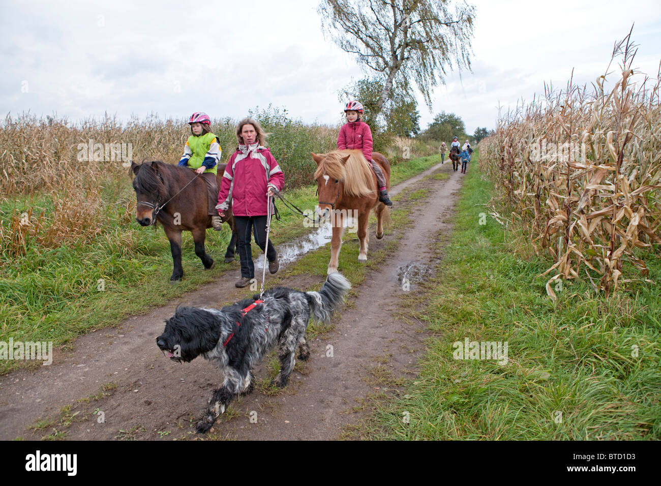 family outing with ponies and dog Stock Photo - Alamy