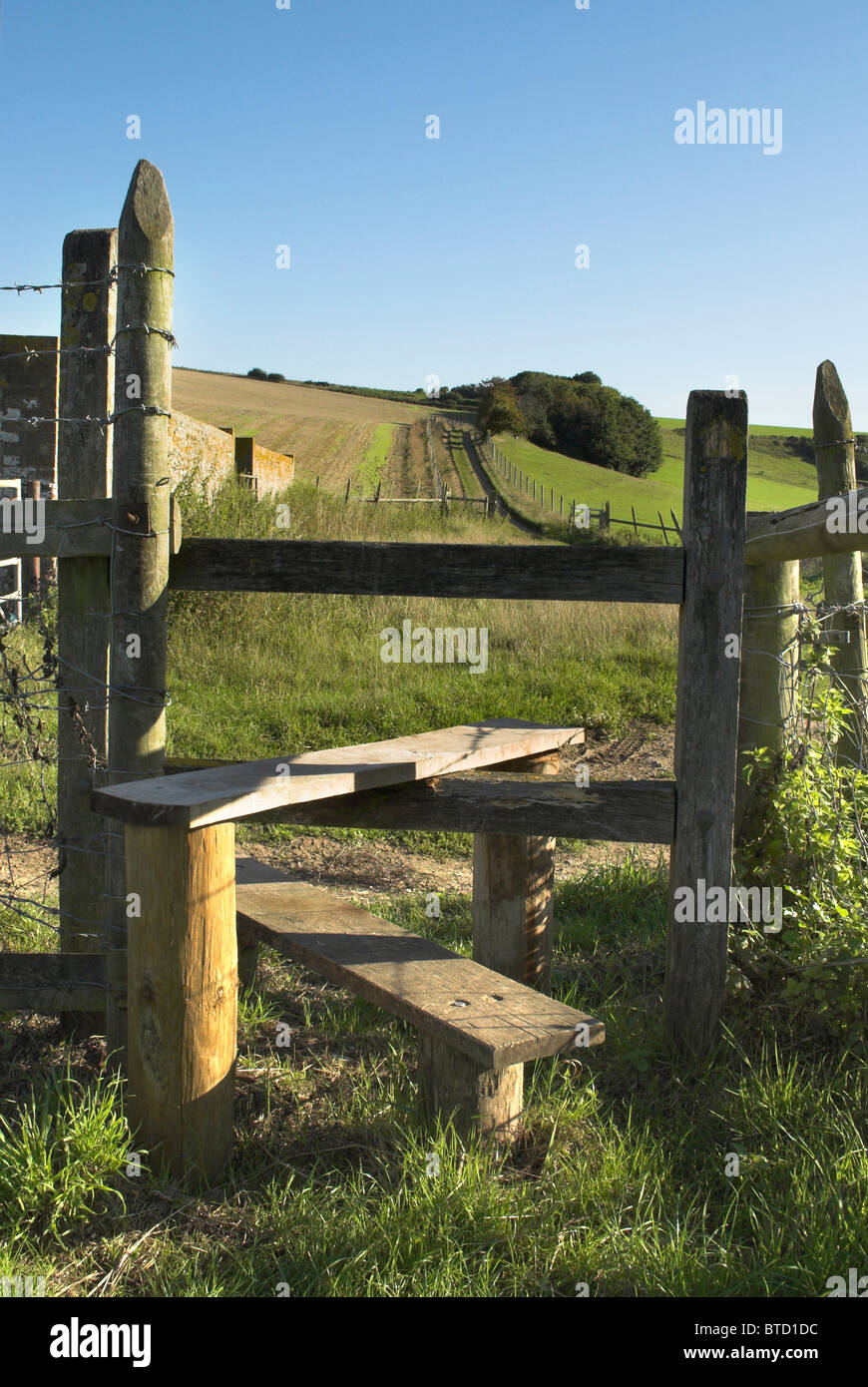 Looking from Cow Bottom towards Lancing Hill - South Downs National ...