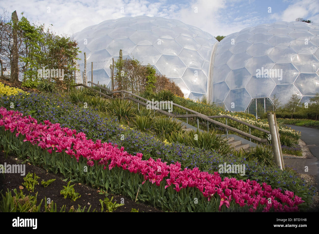Flower bed Eden Project United Kingdom Stock Photo - Alamy
