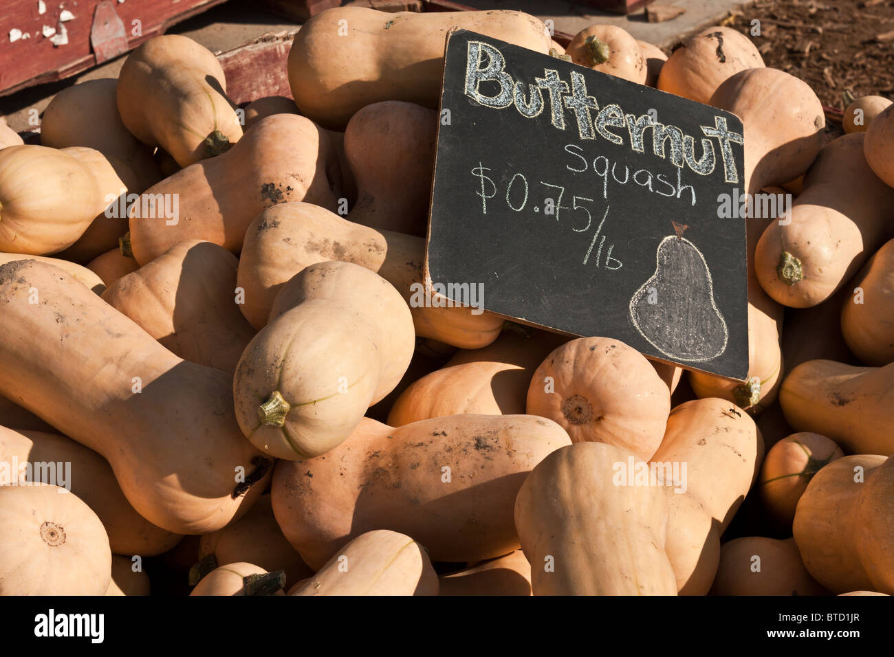 fresh squash vegetables Stock Photo - Alamy