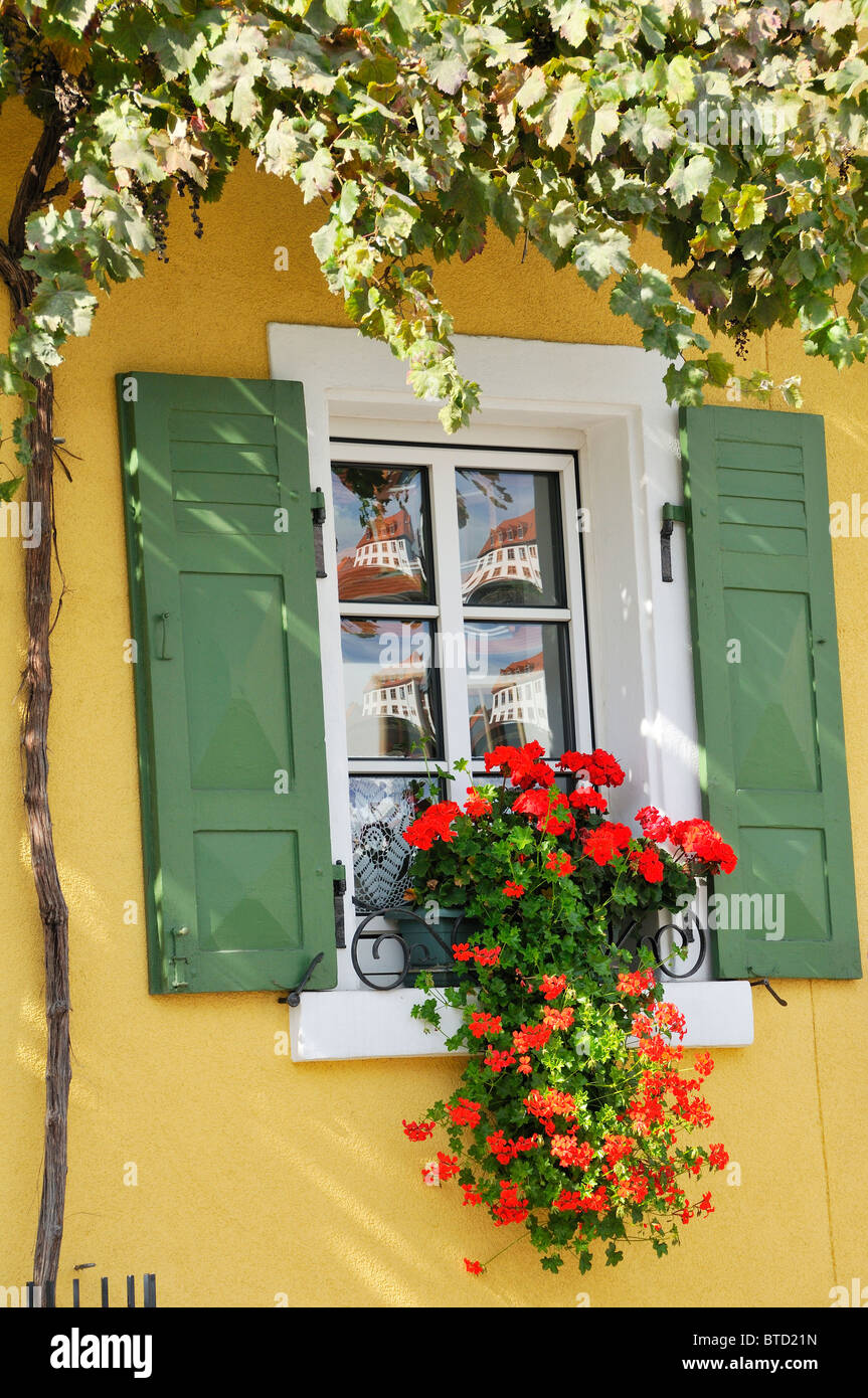 Window with green shutters and window box of red geraniums in Germany ...