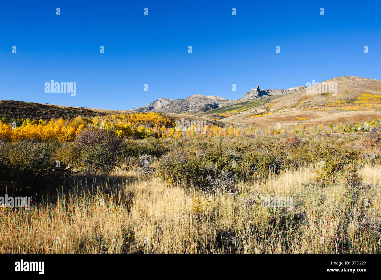 Gold creek campground hi-res stock photography and images - Alamy
