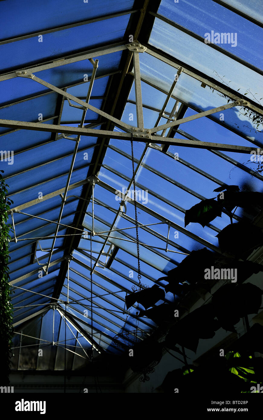A larger view of an ornate conservatory ceiling Stock Photo - Alamy