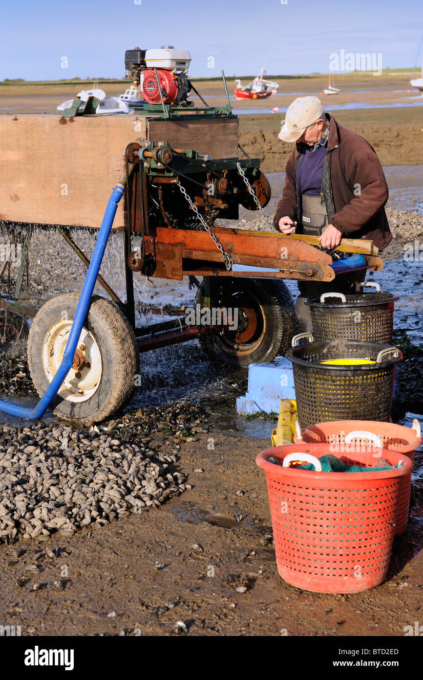Crop pickers hi-res stock photography and images - Alamy
