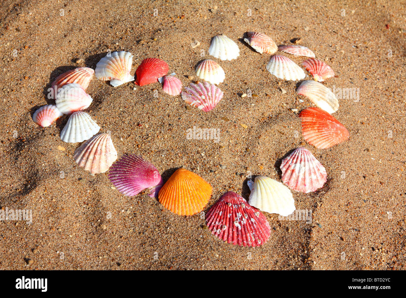 heart symbol from sea shells on sand beach Stock Photo - Alamy