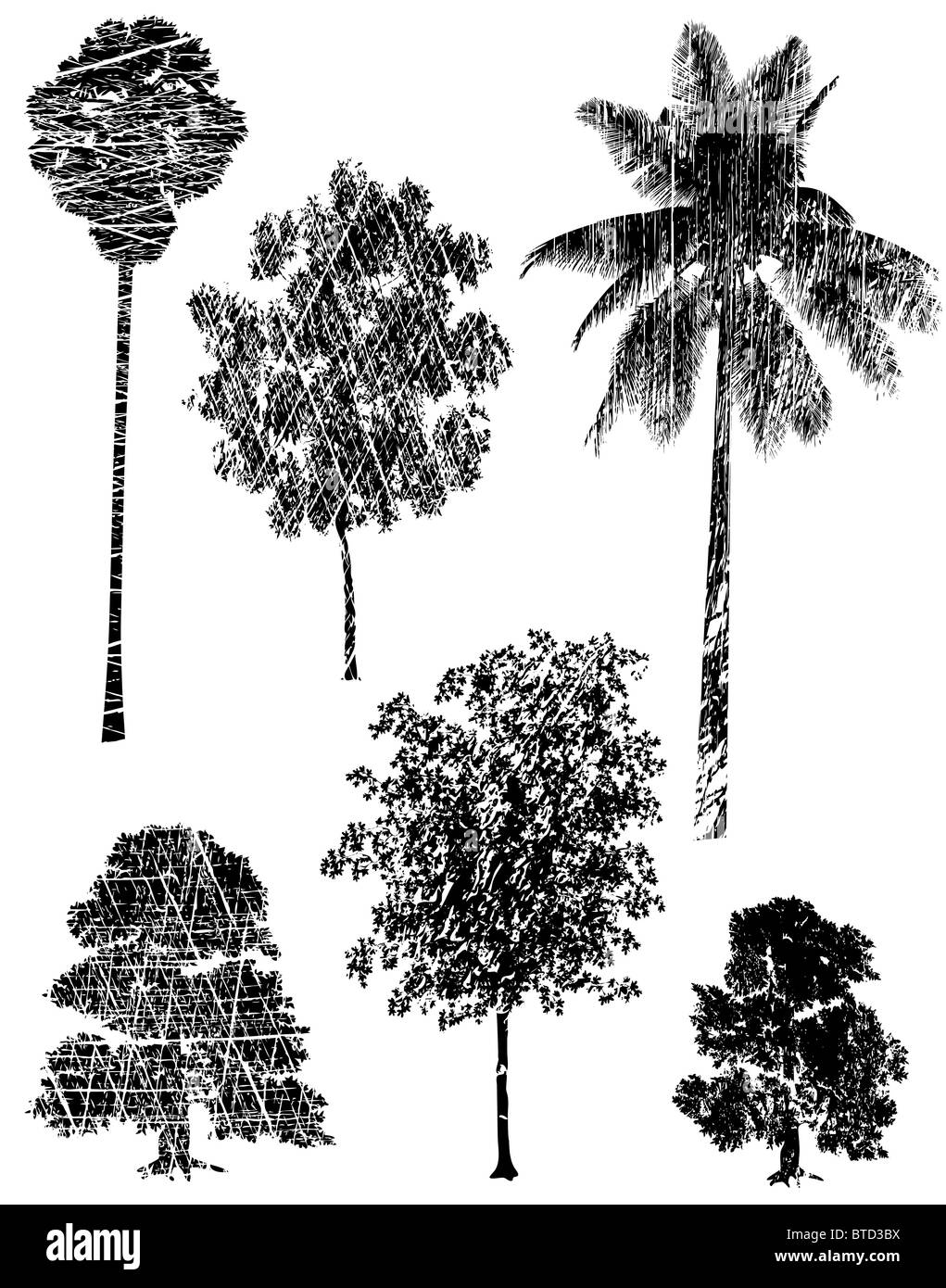 Tree outline Black and White Stock Photos & Images - Alamy