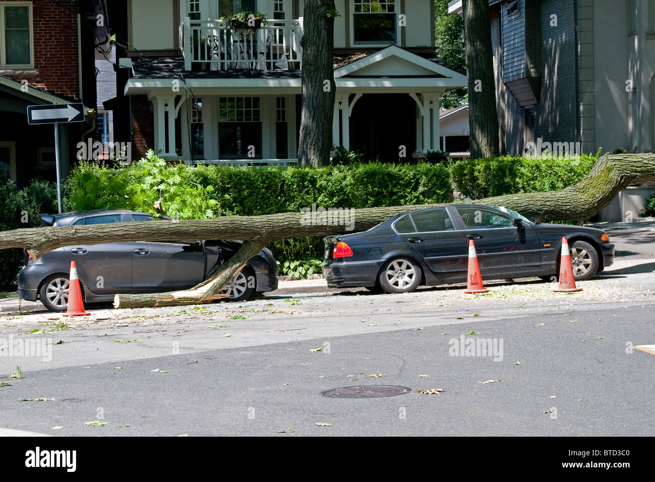 Car crushed by a tree hi-res stock photography and images - Alamy