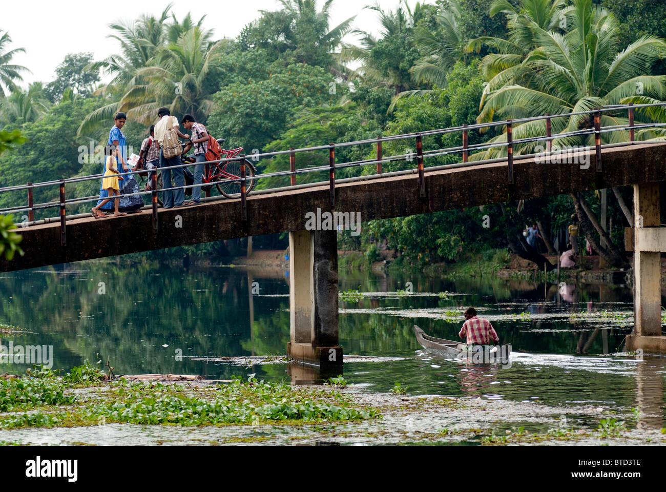 Backwaters of Alappuzha, Kuttanad, Kerala, India, Asia Stock Photo - Alamy