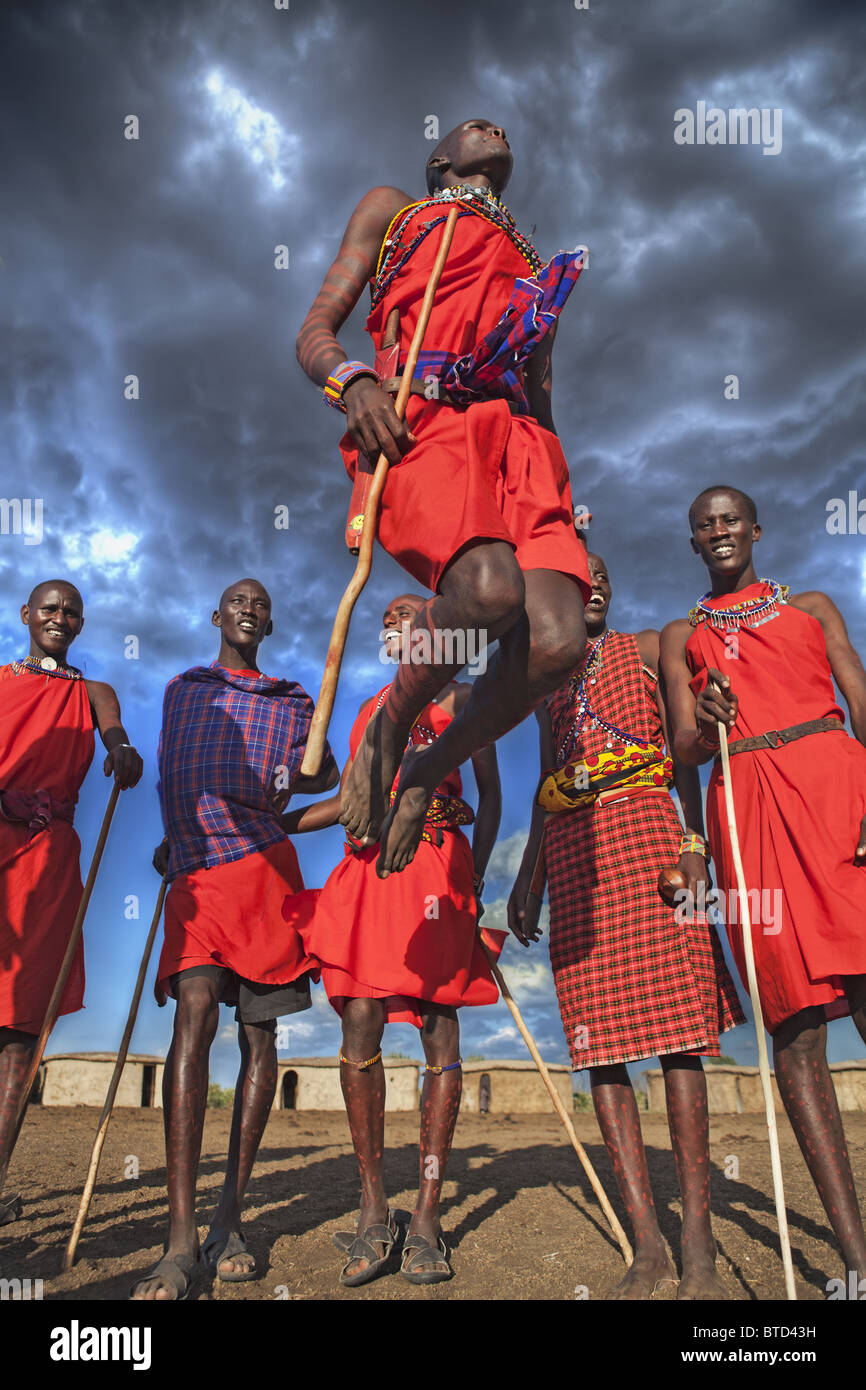 Masai warriors doing the traditional jump dance circle is formed and ...