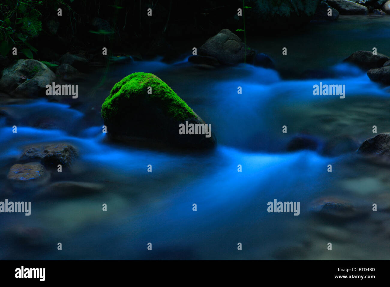 River moss hi-res stock photography and images - Alamy