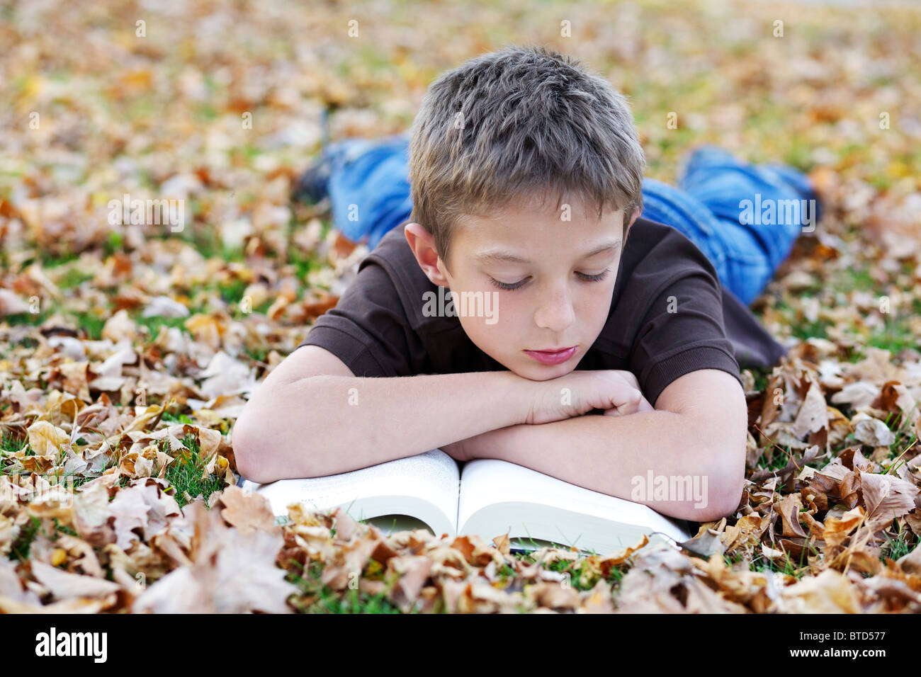 Cute young boy reading textbook outdoor Stock Photo - Alamy