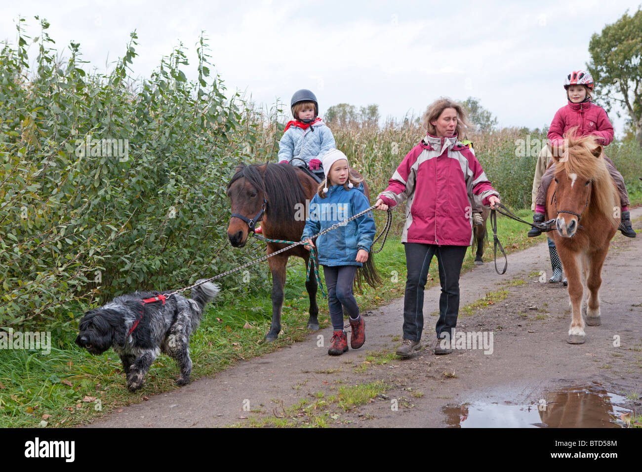family outing with ponies and dog Stock Photo - Alamy