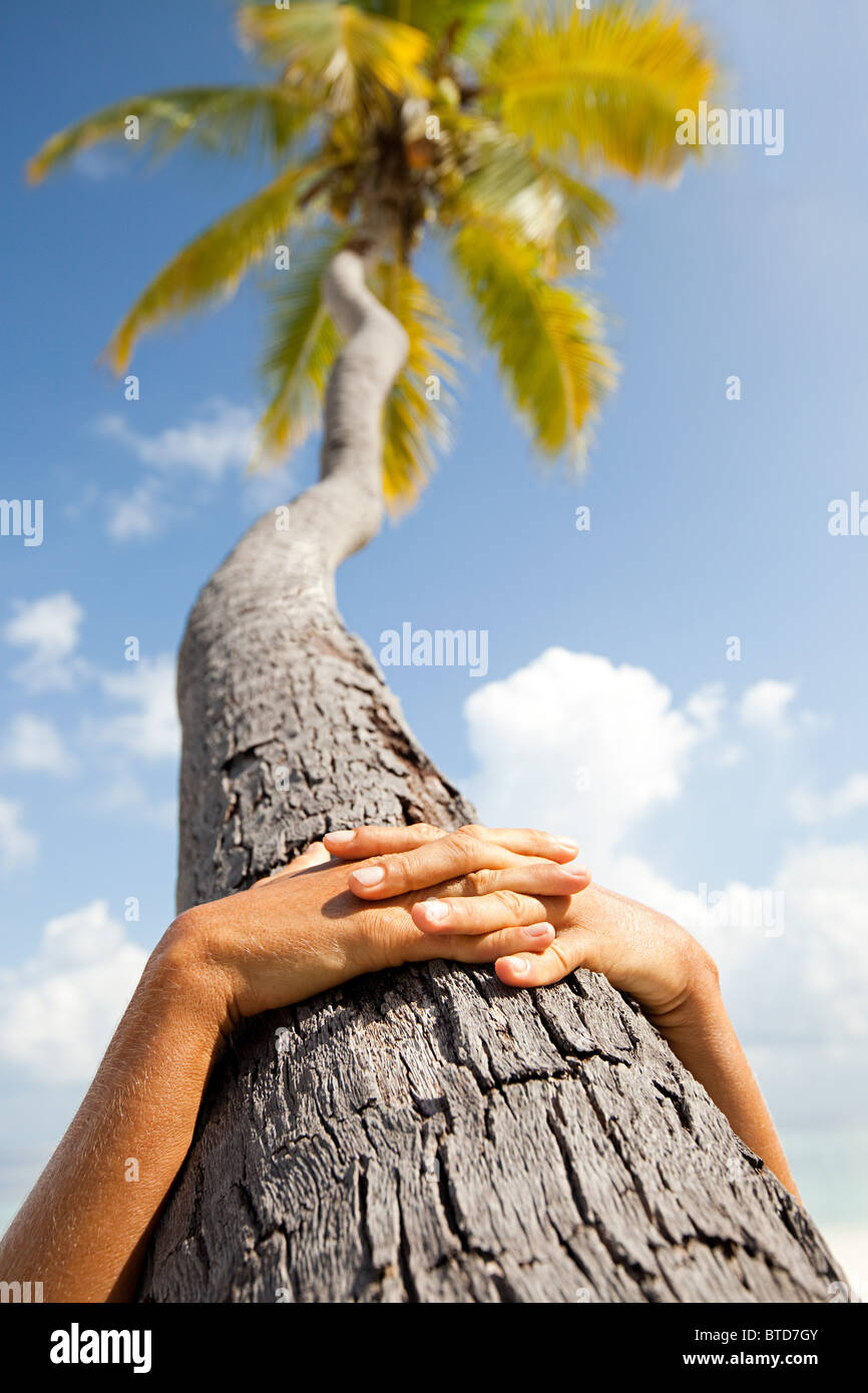 Hands together on palm tree, Maadaugalla Island, North Huvadhu Atoll ...
