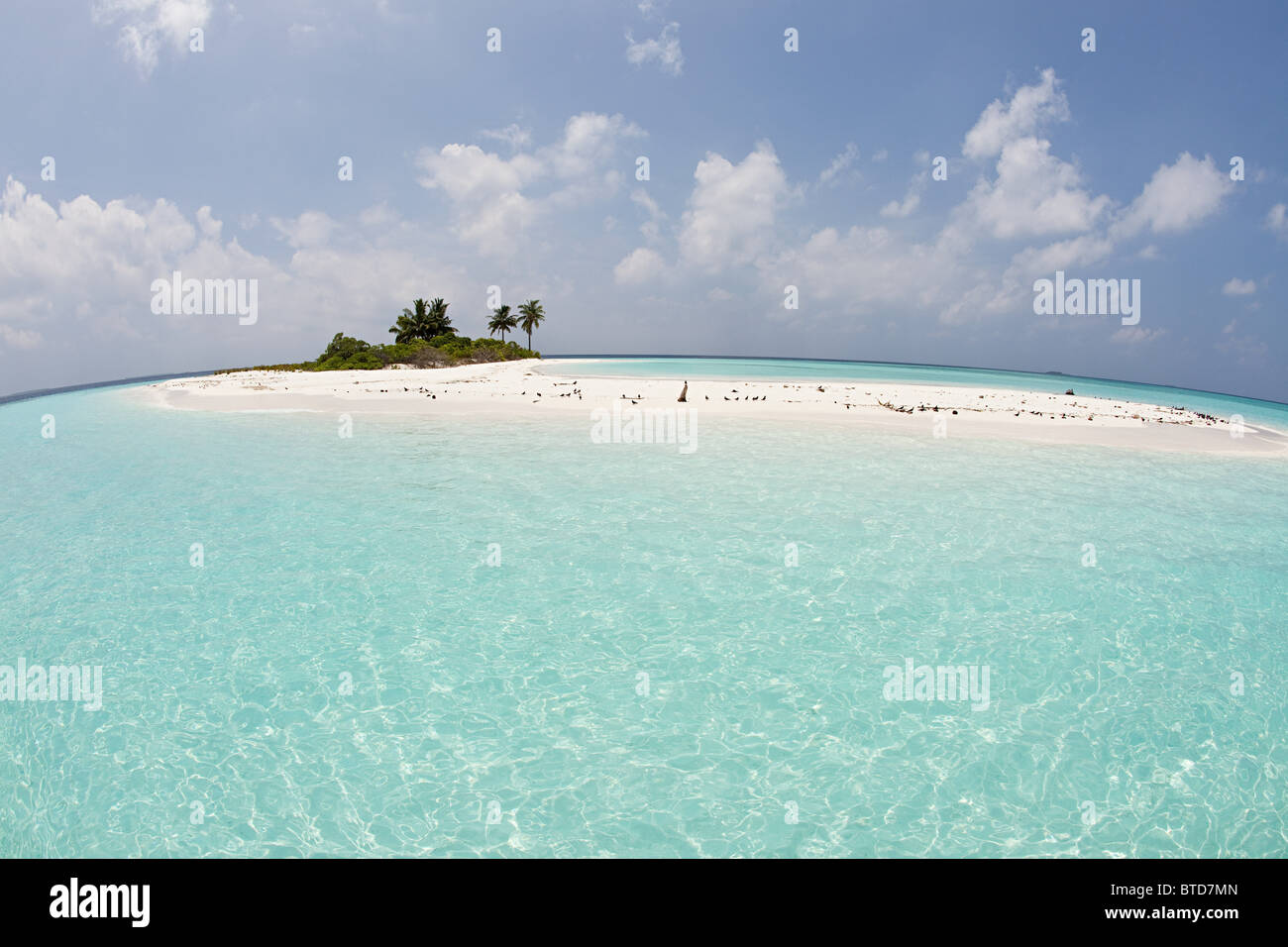 Mathidhoo Island, North Huvadhu Atoll, Maldives Stock Photo - Alamy