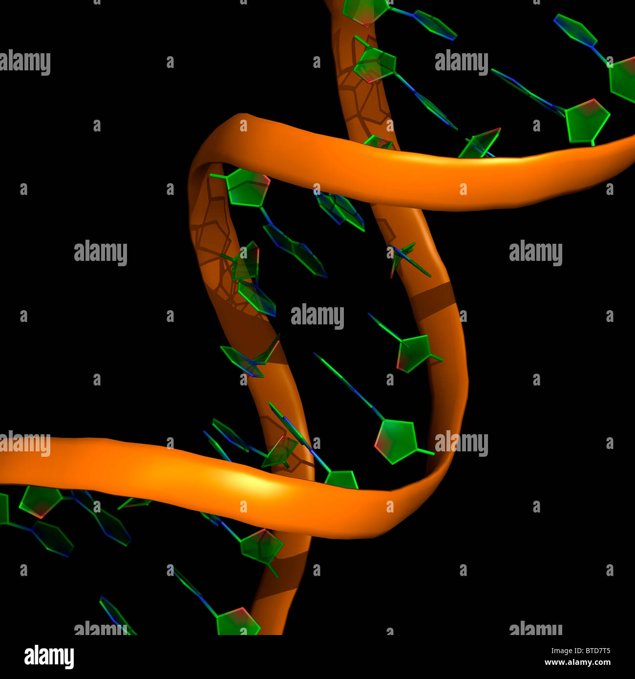 Dna molecule hi-res stock photography and images - Alamy