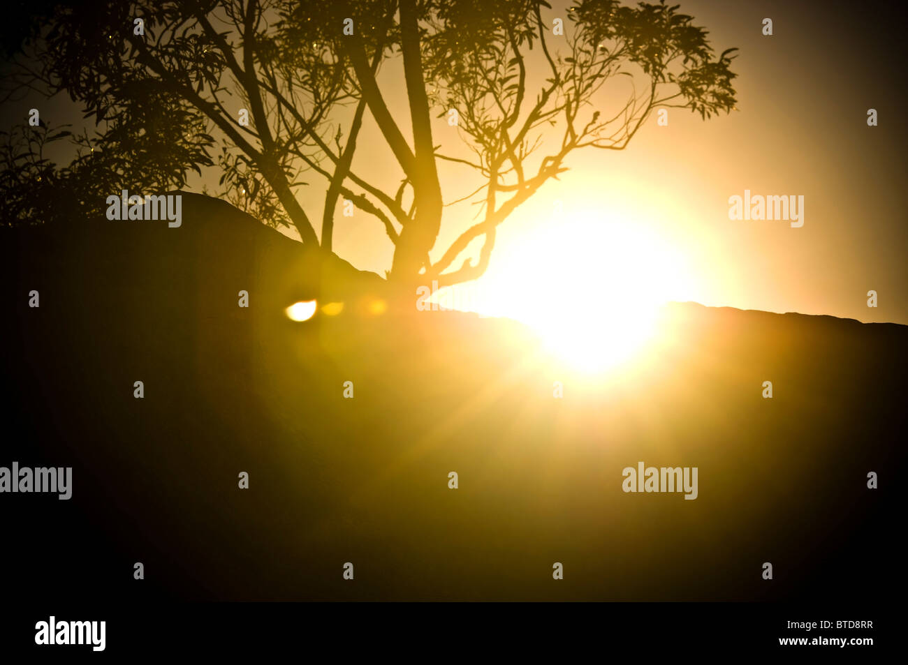 Spectacular sunset flares across a dark landscape Stock Photo - Alamy