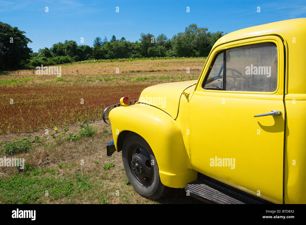 Yellow pickup truck in a field in Montauk, Long Island Stock Photo - Alamy