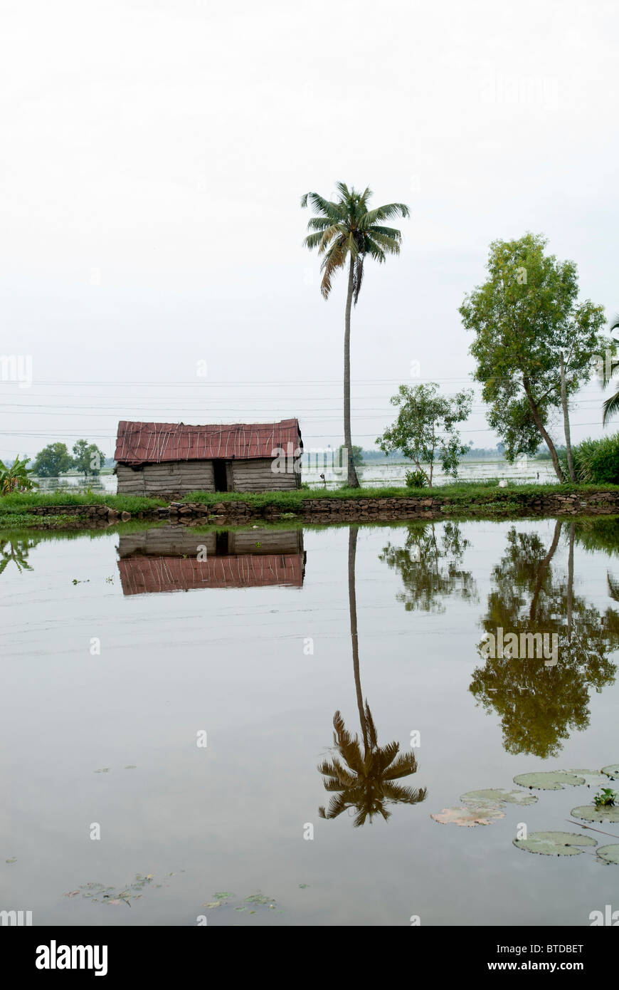 Backwaters of Kuttanad, Alappuzha;Alleppey, Kerala, India Stock Photo ...