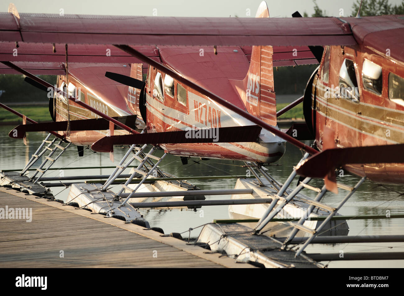 Group of Rust's Flying Service DeHavilland Beaver airplanes docked on ...