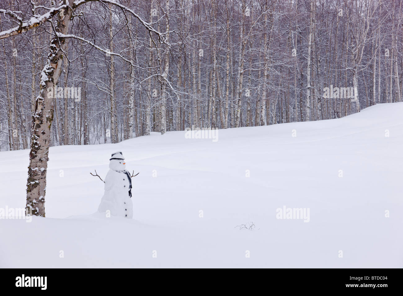 Snowman standing in a snow covered birch forest, Anchorage, Alaska ...