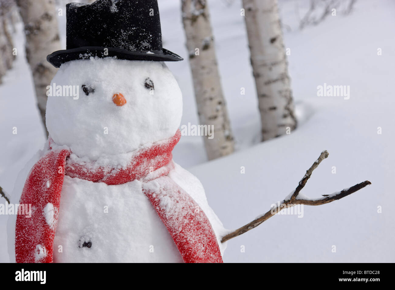 Hat covered with snow hi-res stock photography and images - Alamy