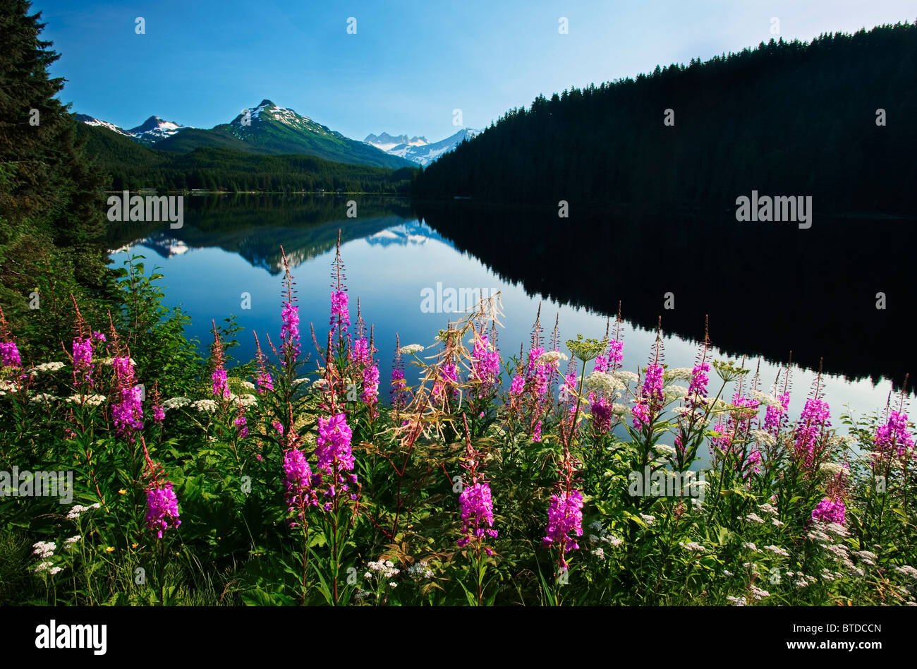 Auke lake hi-res stock photography and images - Alamy