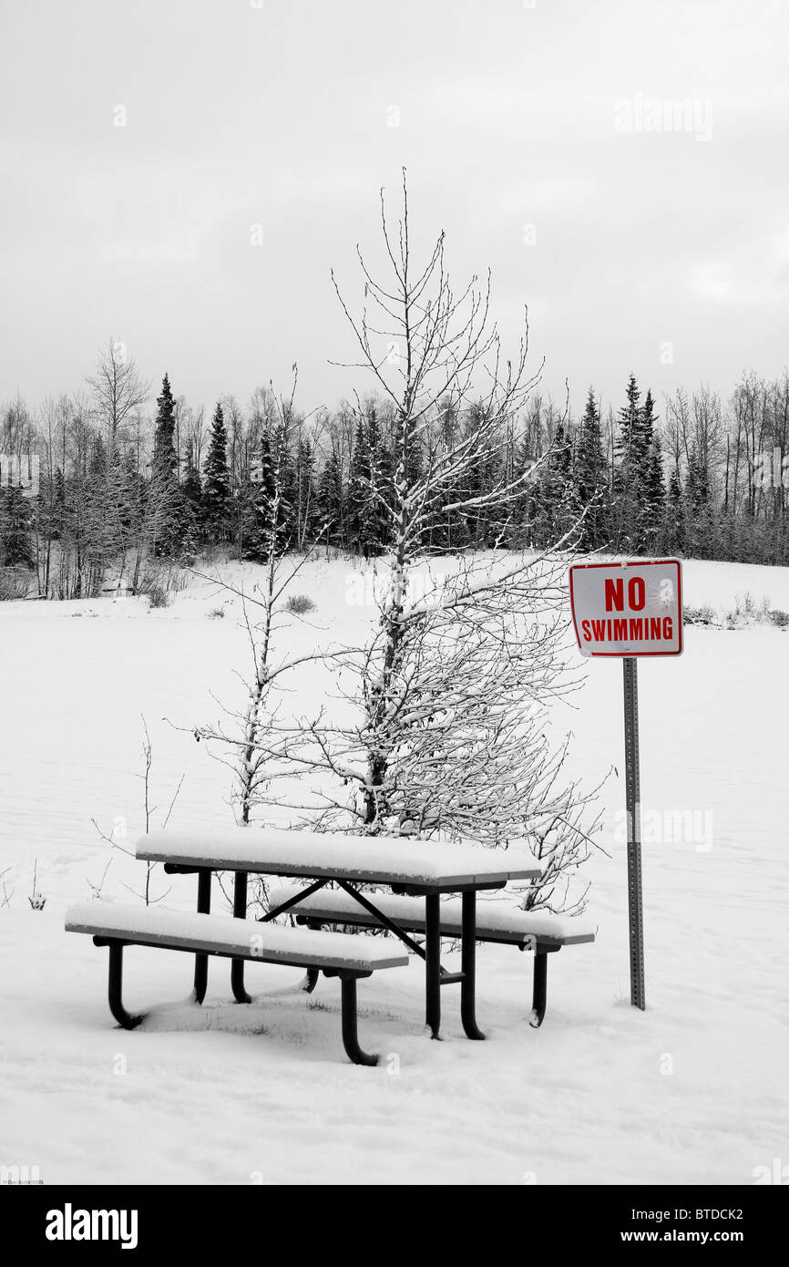 No Swimming sign and snow covered picnic bench at the edge of Taku Lake ...