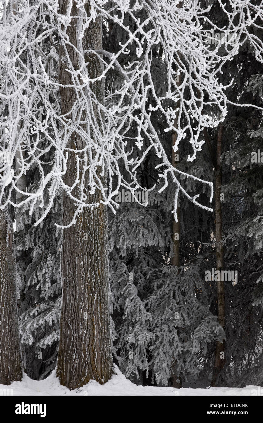 Russian jack golf course hi-res stock photography and images - Alamy