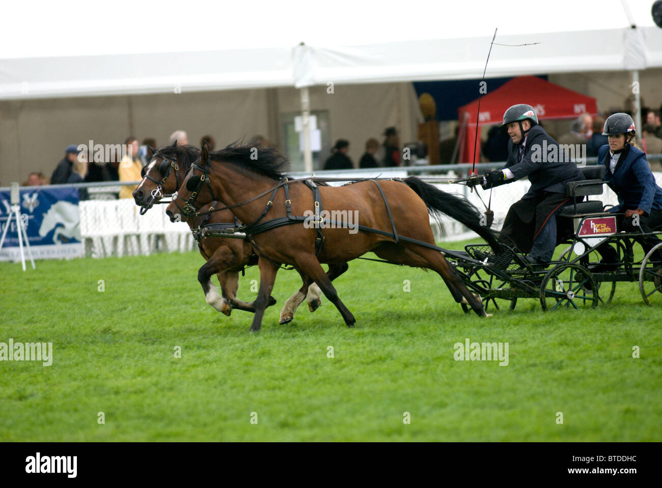 Double Harness Scurry Championship. Competitors in the main ring at ...