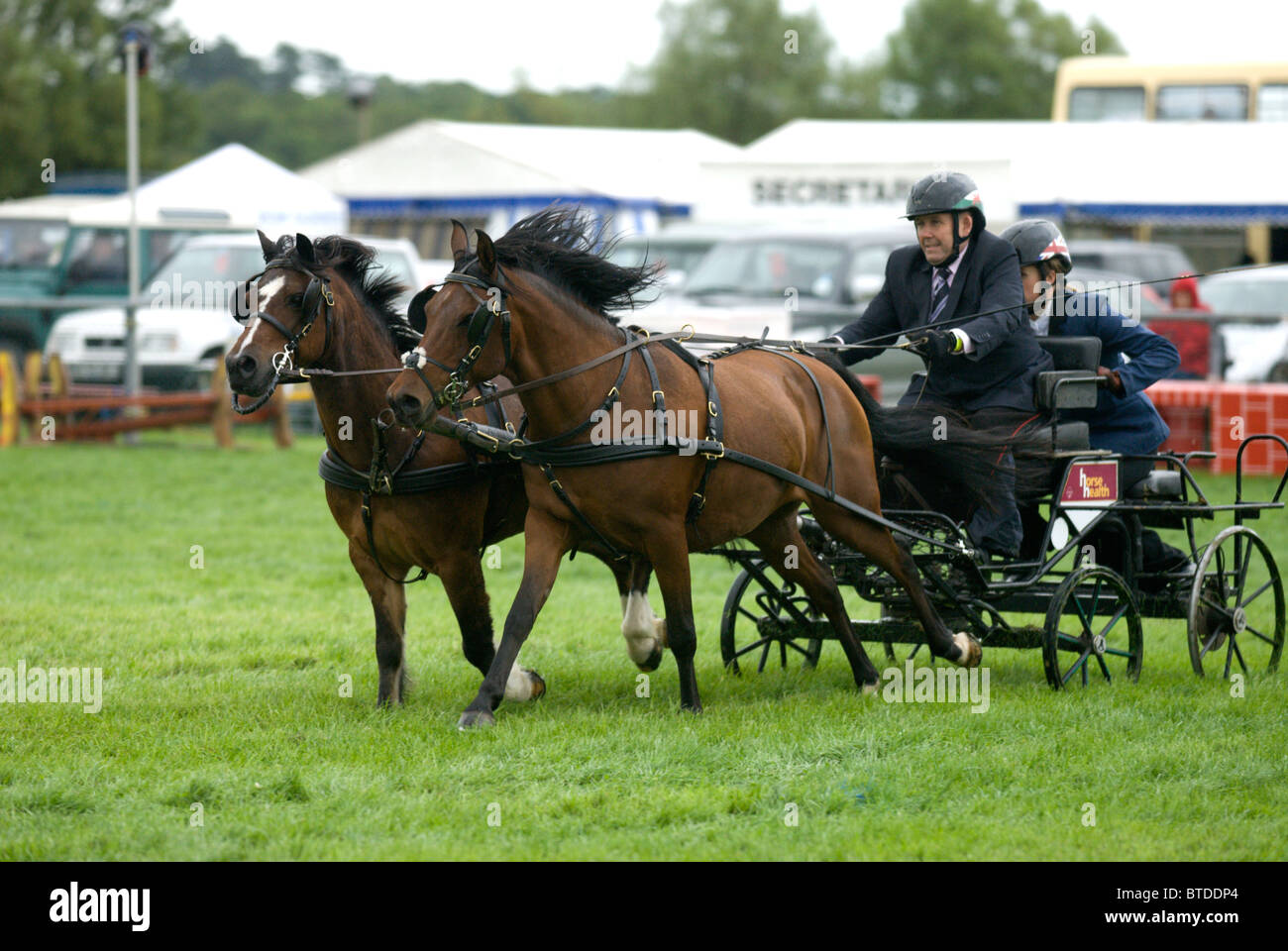 Double Harness Scurry Championship. Competitors in the main ring at ...