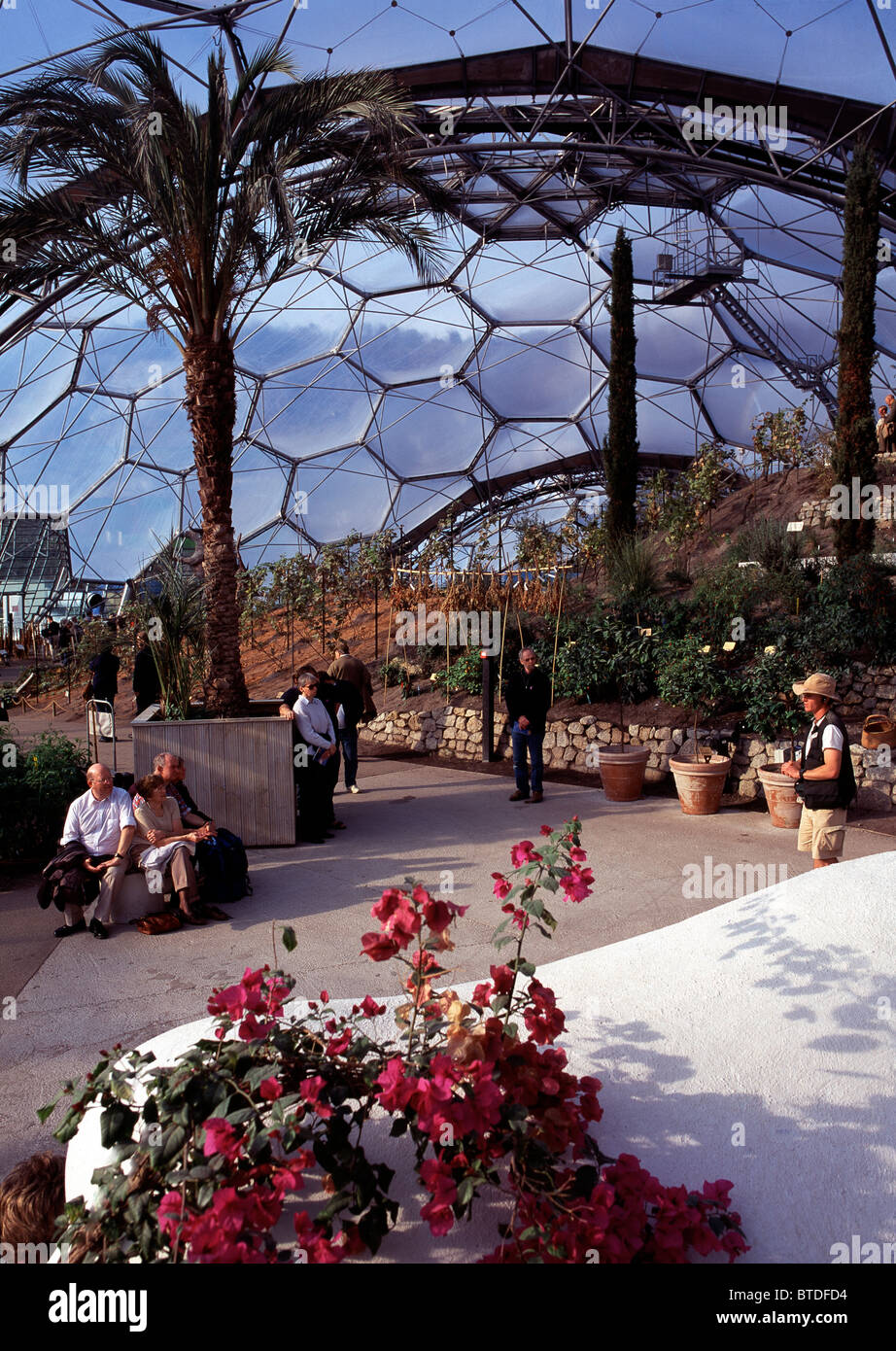 Eden Project, Interior Stock Photo - Alamy