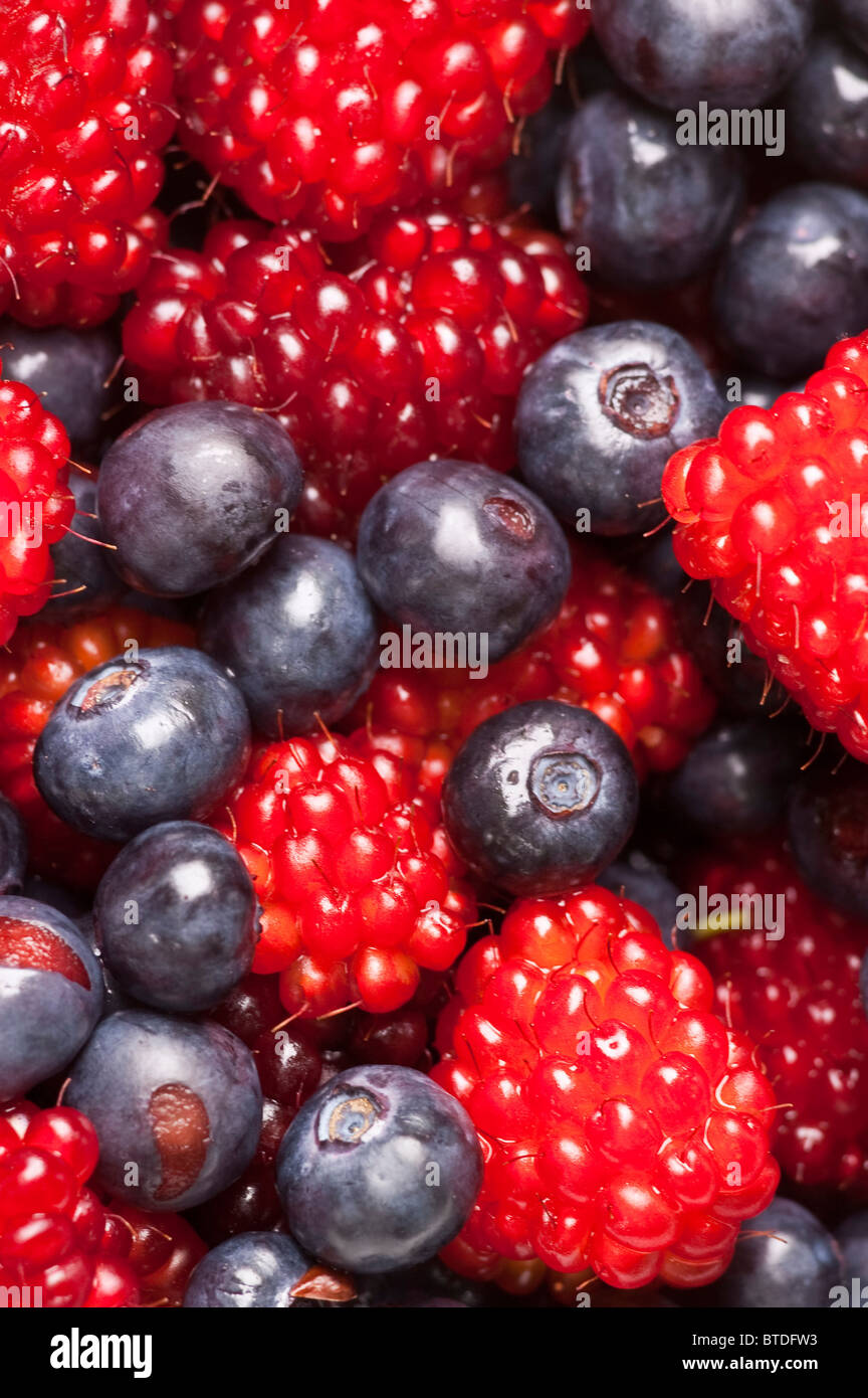 Close up of fresh picked salmon berries and blueberries from the ...