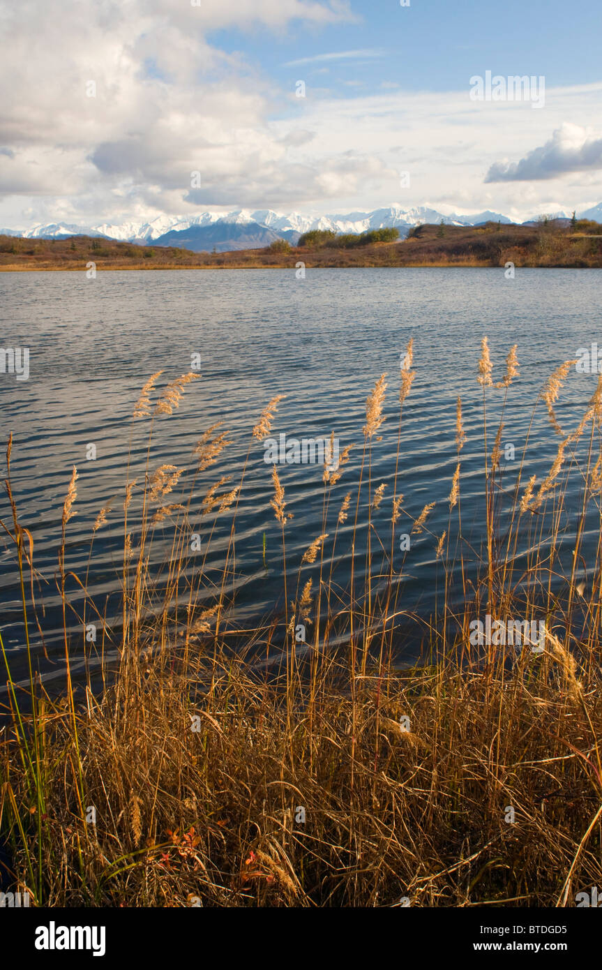 Interior alaska landscape hi-res stock photography and images - Alamy