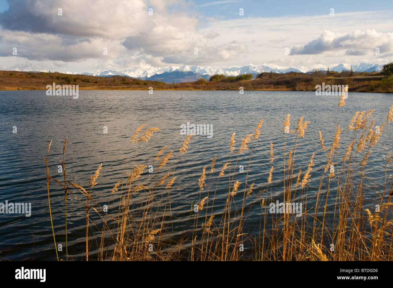 Interior alaska landscape hi-res stock photography and images - Alamy