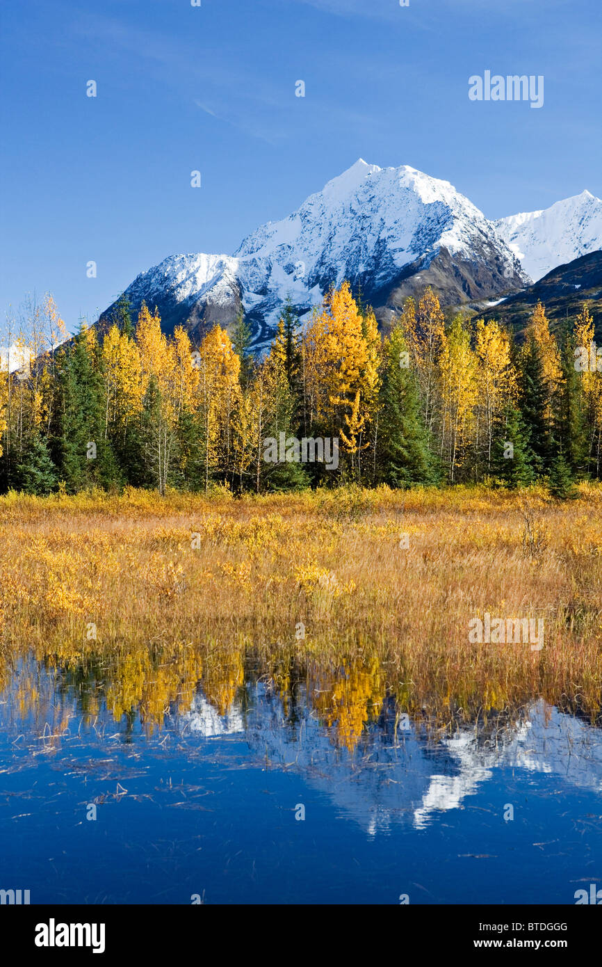 Fall foliage reflecting in a pond while Paradise Peak is capped with ...