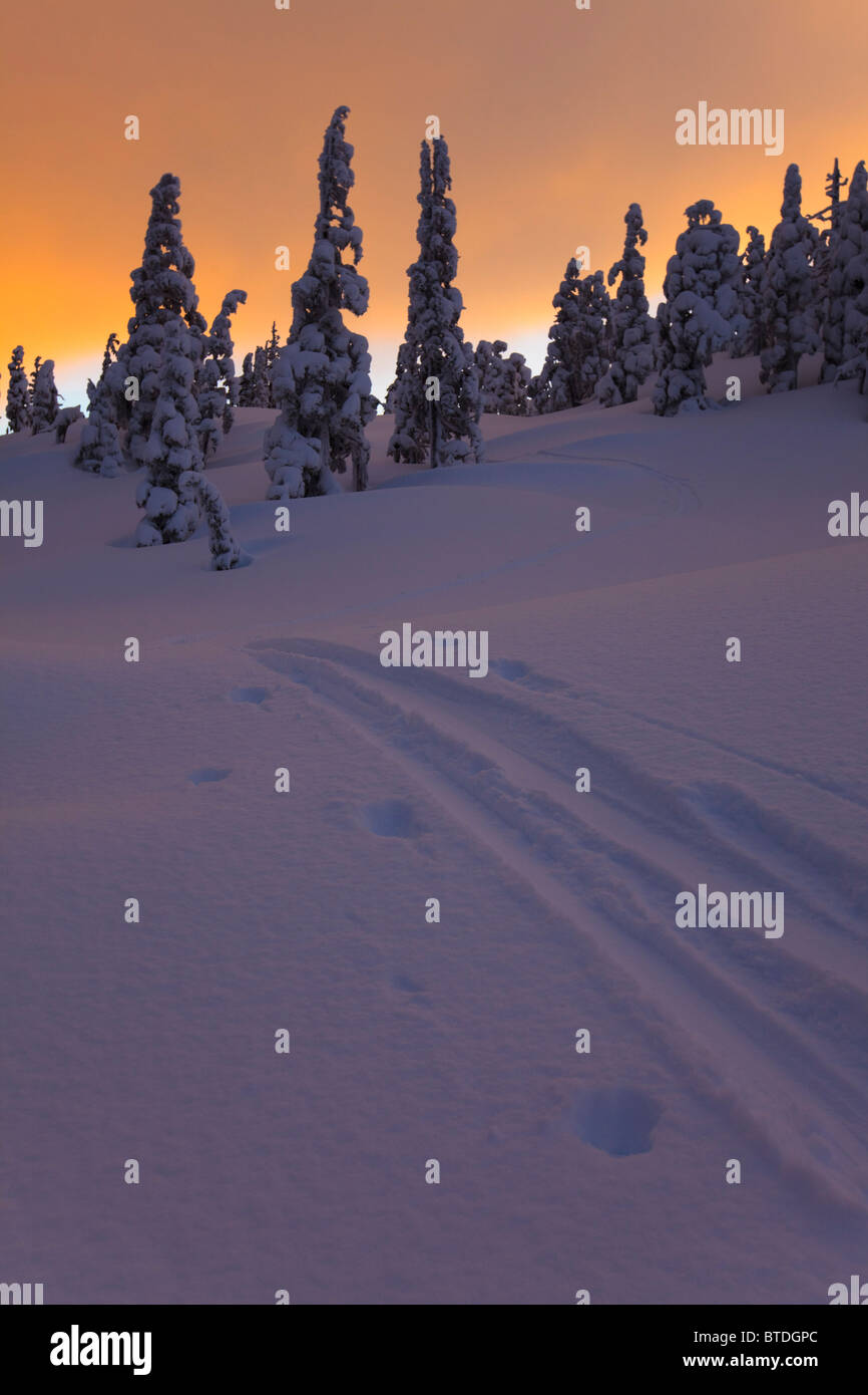 Wrangell land hi-res stock photography and images - Alamy