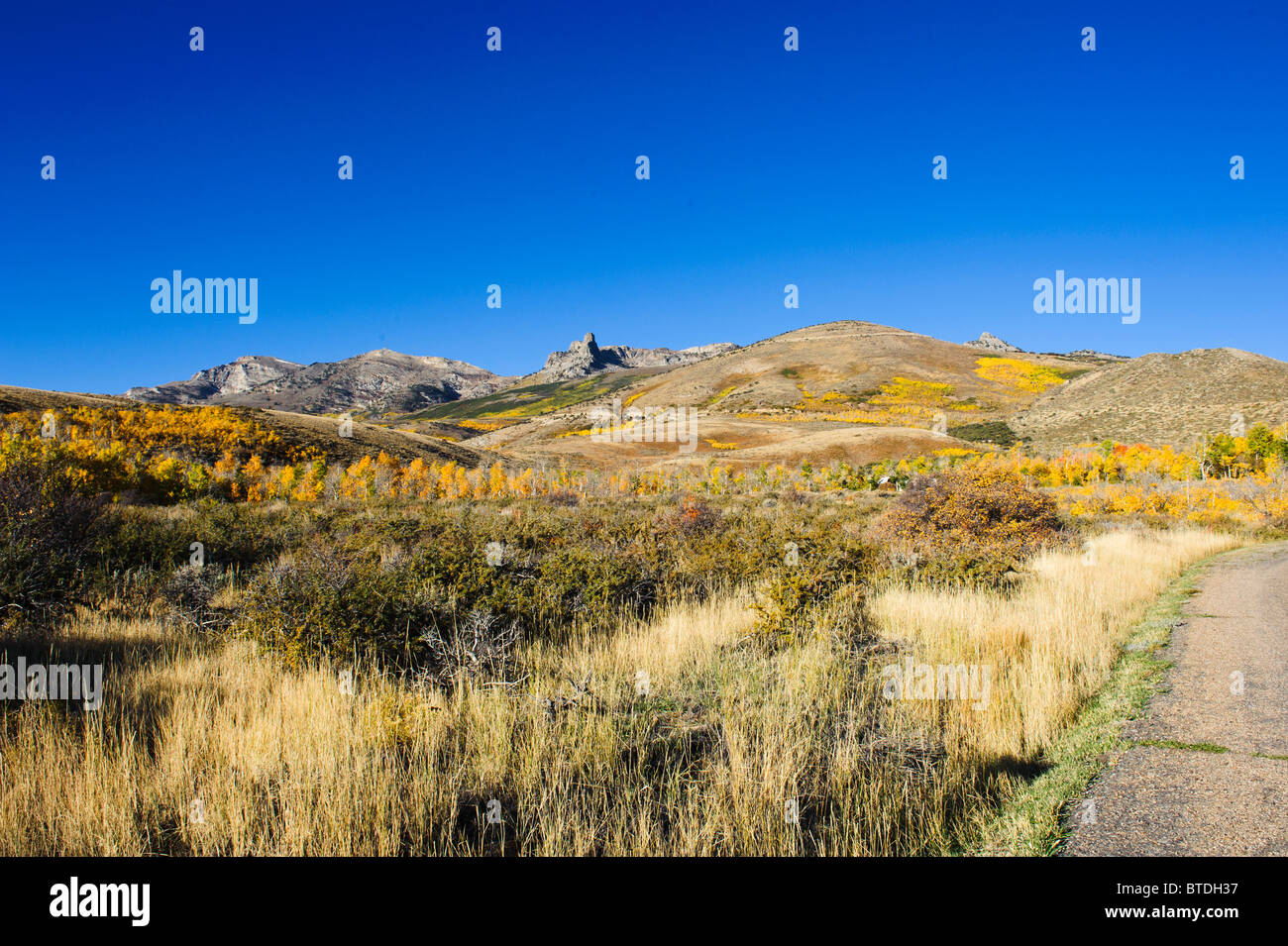 Alpine mountains near Wells, Nevada in the fall with brilliant gold ...