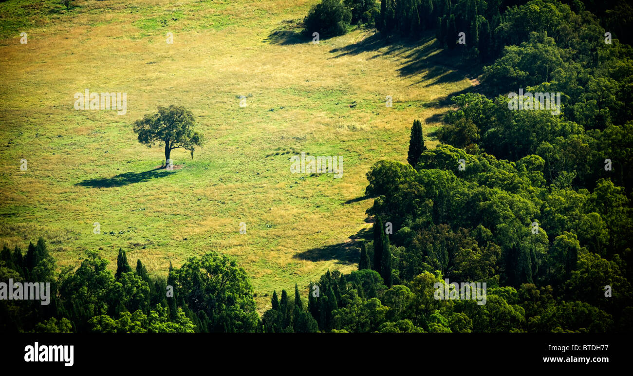 Lone tree deforestation hi-res stock photography and images - Alamy