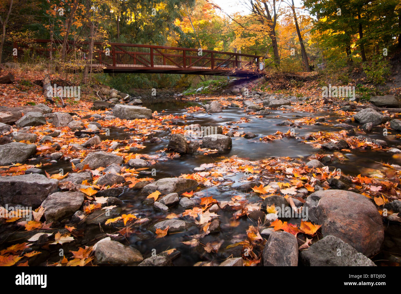 Toronto changing landscape hi-res stock photography and images - Alamy