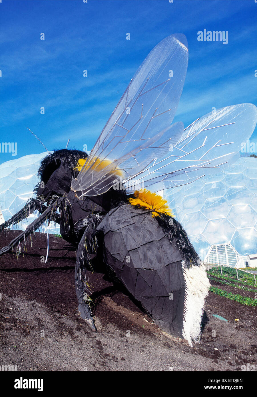 Eden Project, Model Stock Photo - Alamy