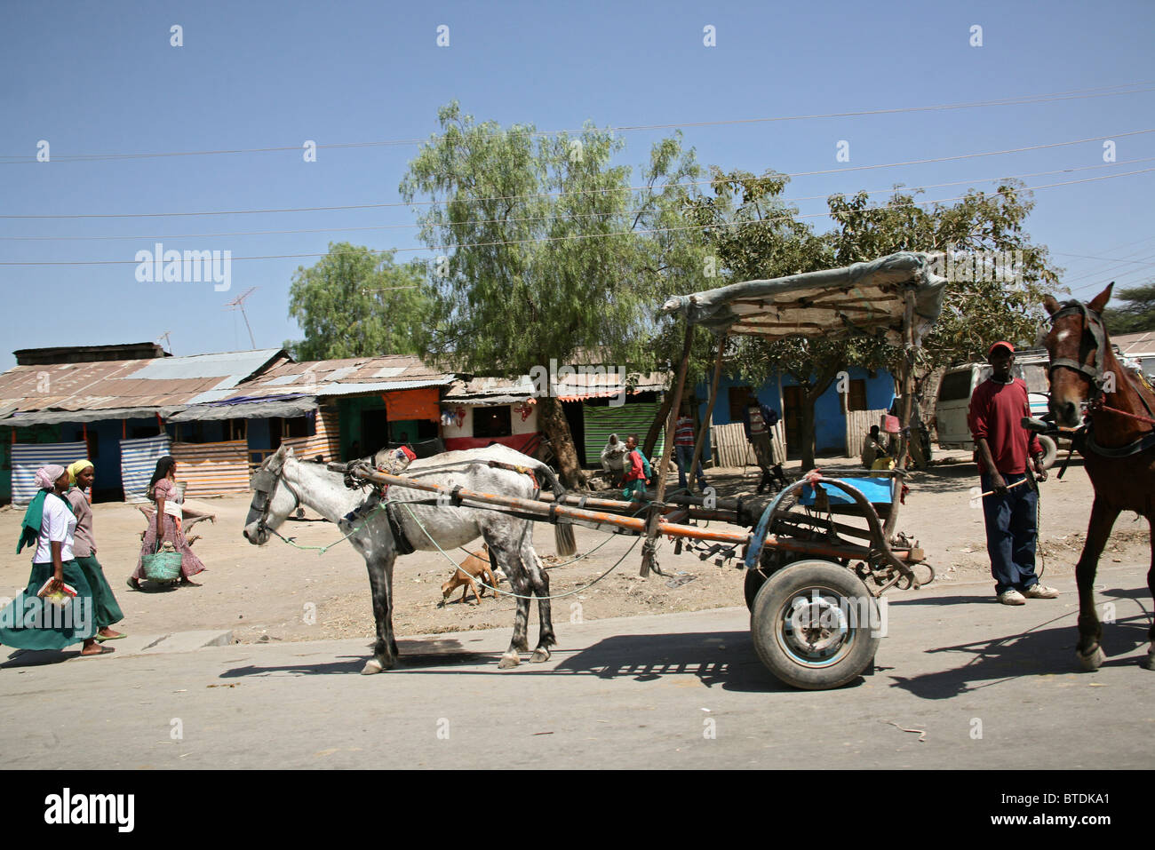 Skinny donkey hi-res stock photography and images - Alamy